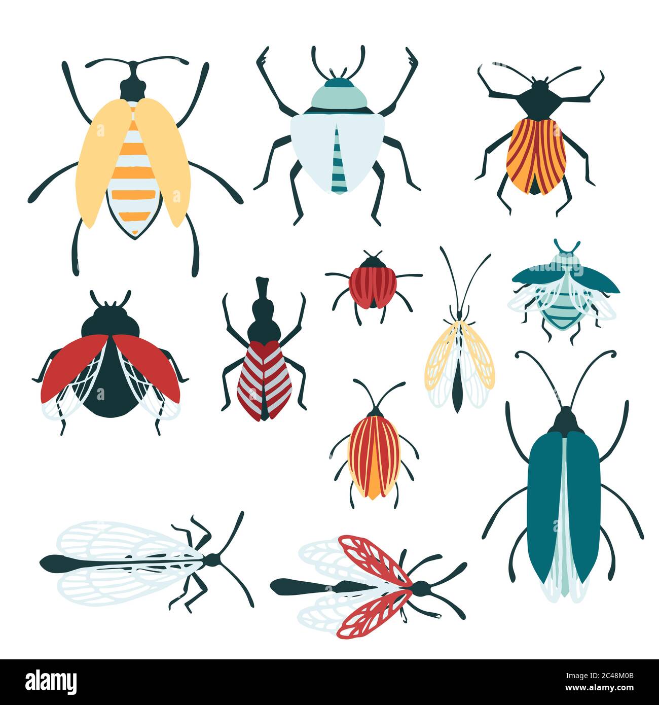 Set of cartoon simple beetle collection colored different insects flat ...