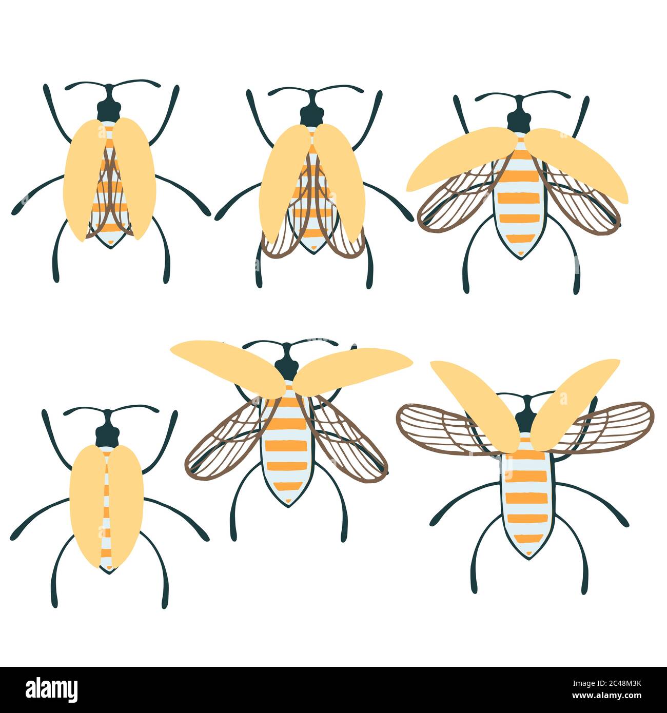 Set of simple flat beetle with different wings collection insects flat ...