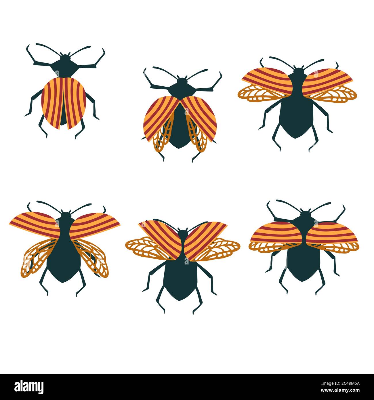Set of simple flat beetle with different wings collection insects flat ...
