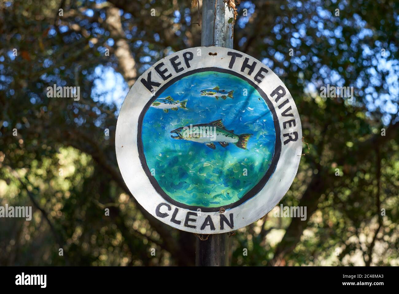 Homemade sign artwork with salmon in water urges public to Keep The ...