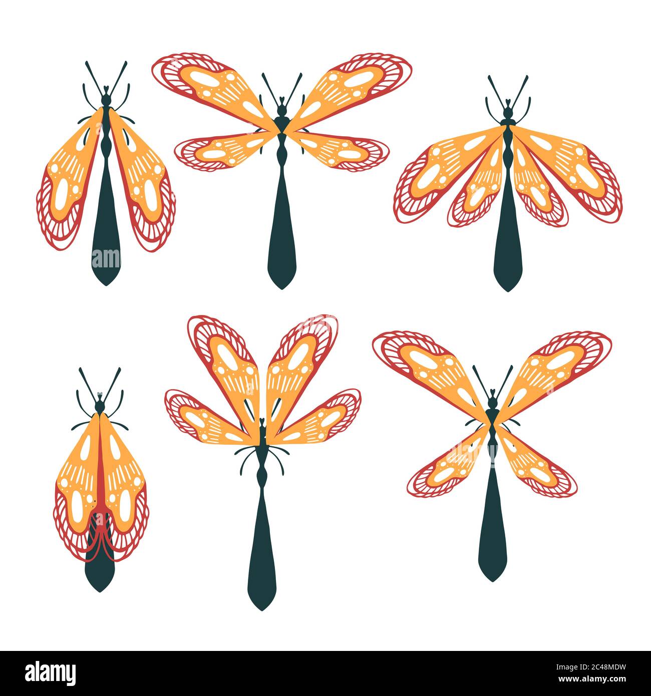 Set of simple flat dragonfly with different wings collection insects ...