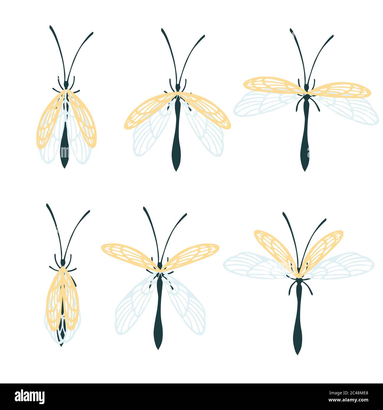 Set of simple flat dragonfly with different wings collection insects ...
