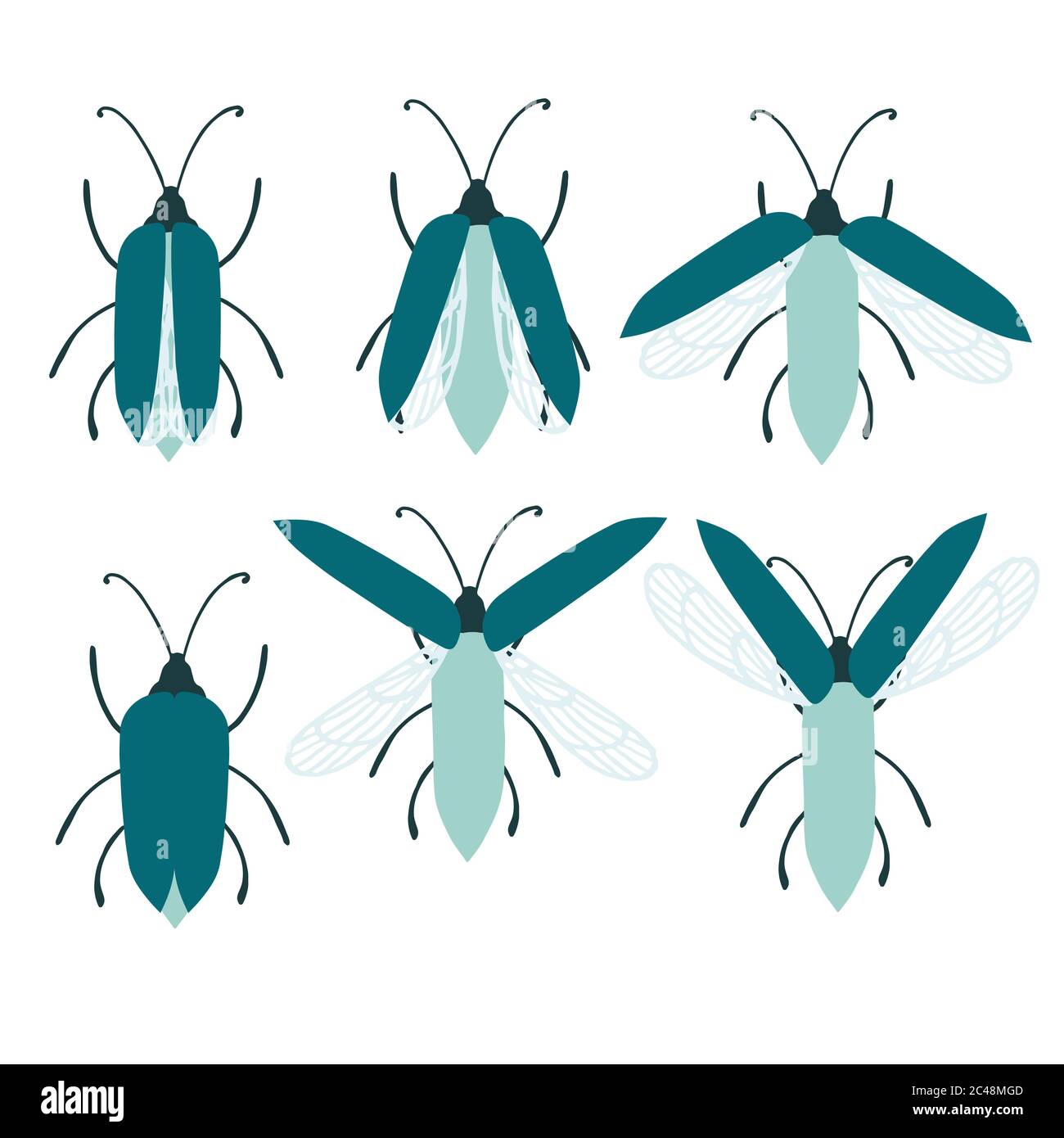 Set of simple flat beetle with different wings collection insects flat ...