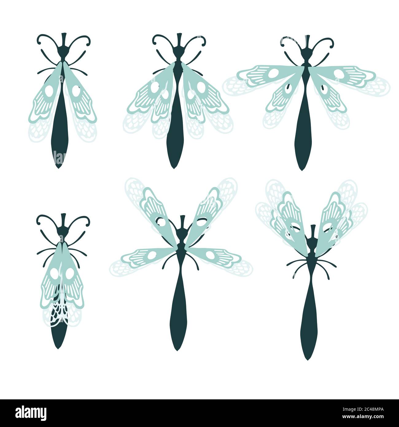 Set of simple flat dragonfly with different wings collection insects ...