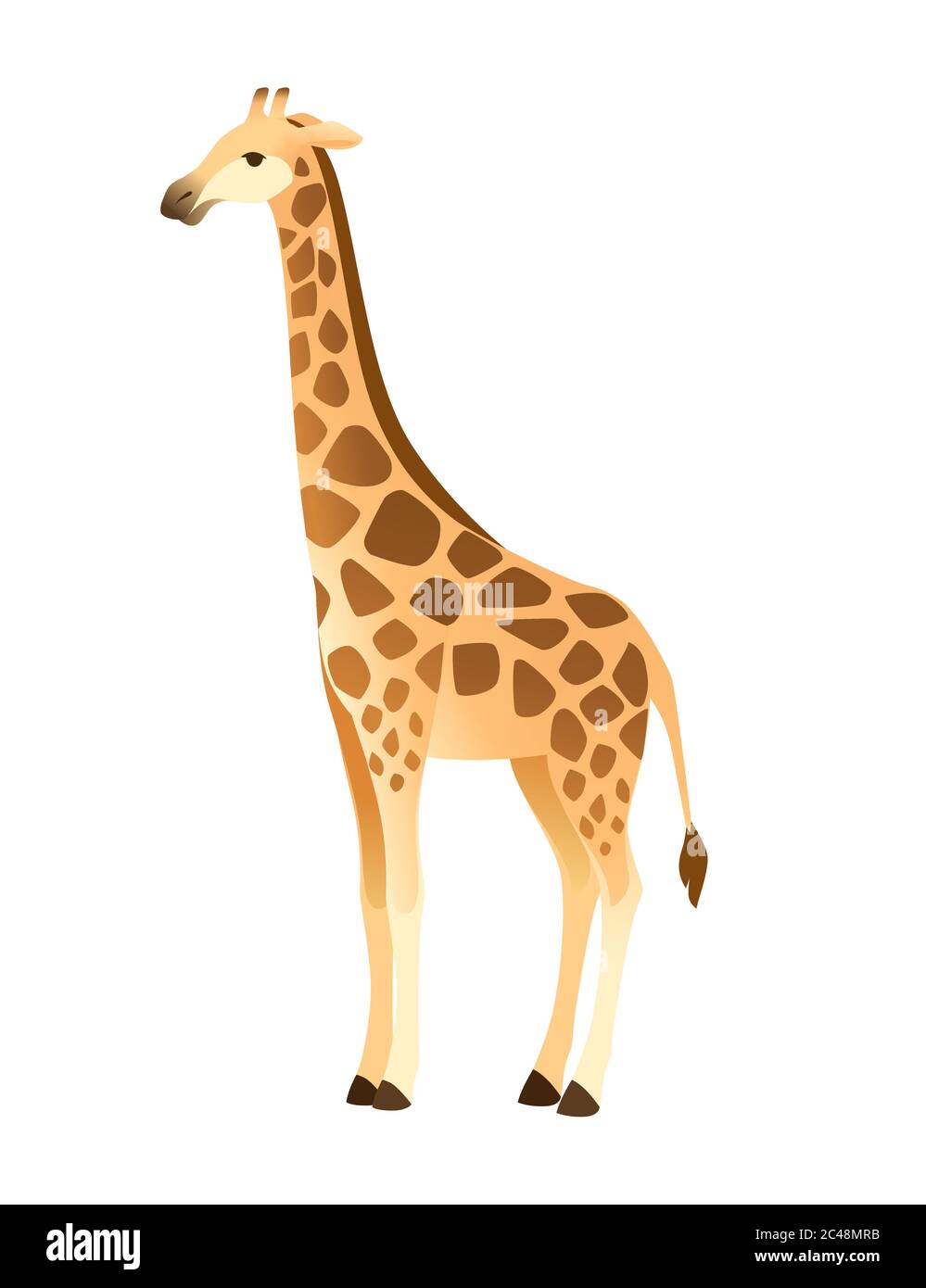 Mature giraffe african animal with long neck cartoon animal design flat ...