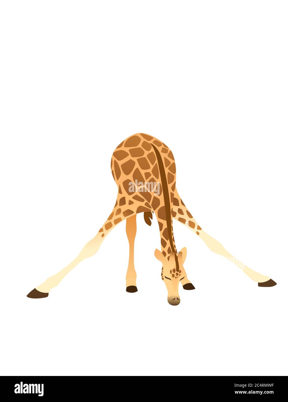 Mature giraffe african animal with long neck cartoon animal design flat ...