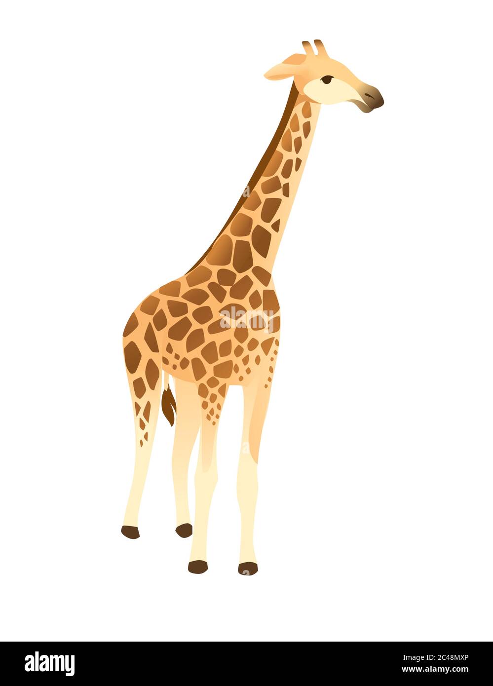 Mature giraffe african animal with long neck cartoon animal design flat ...