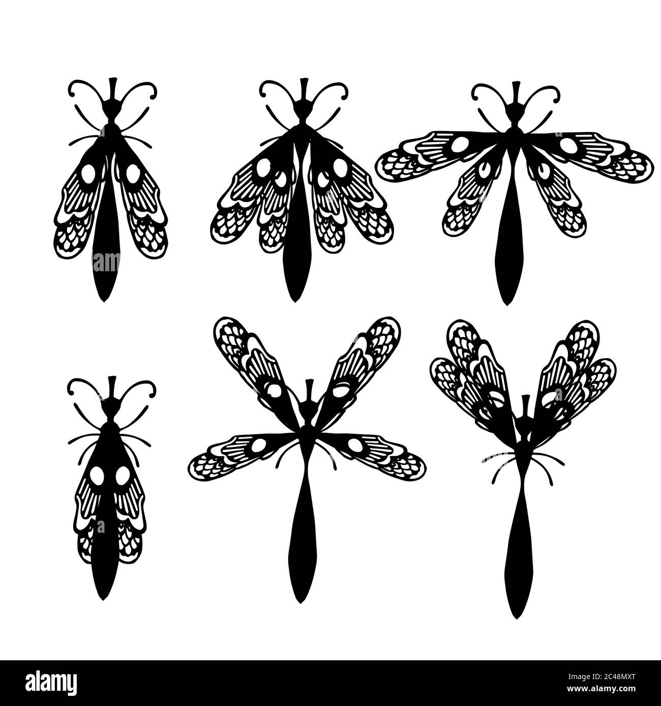 Set of simple flat dragonfly with different wings collection insects ...
