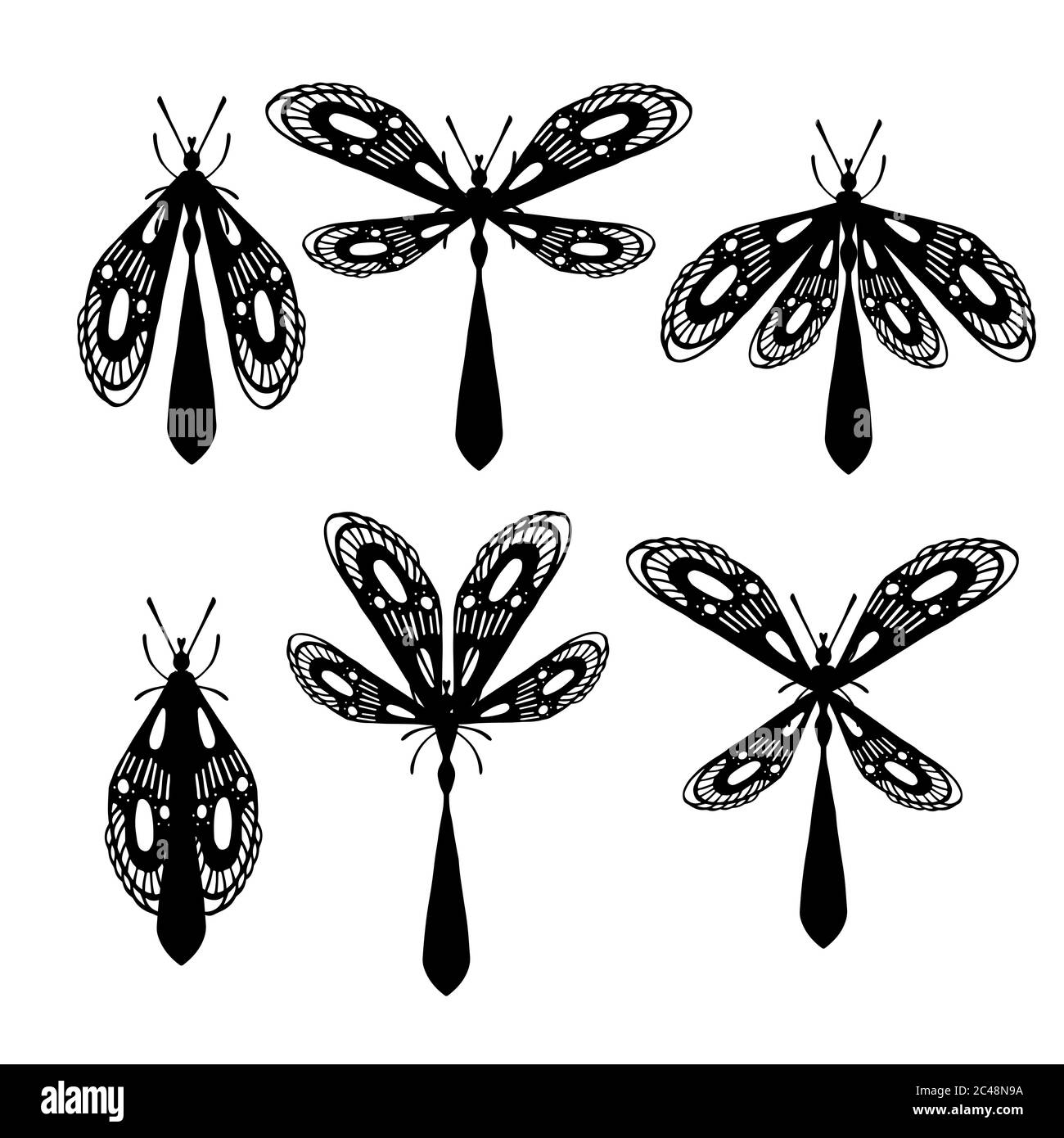 Set of simple flat dragonfly with different wings collection insects ...