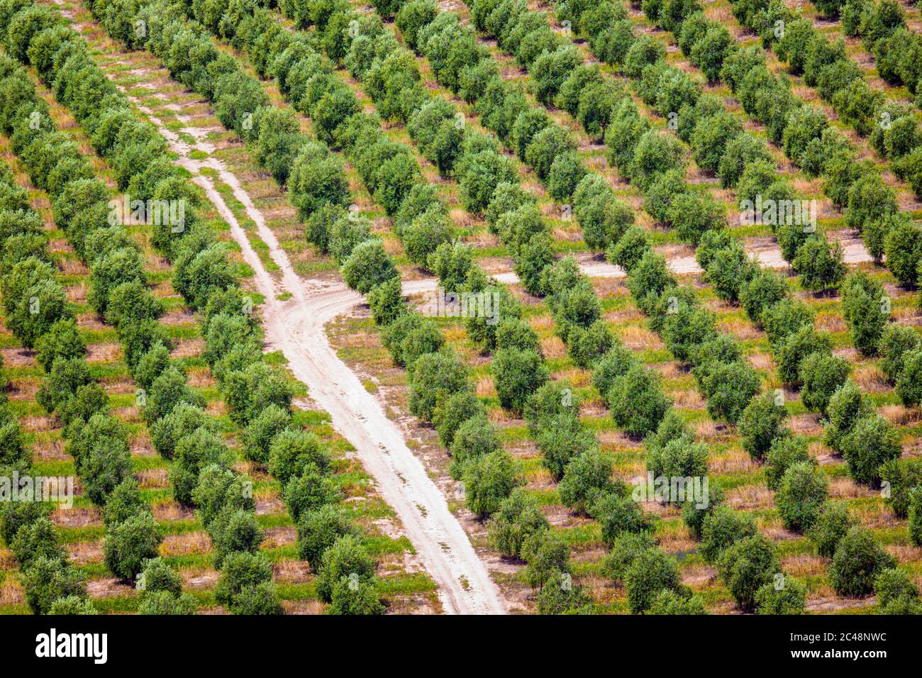 Puerto de la encina hi-res stock photography and images - Alamy