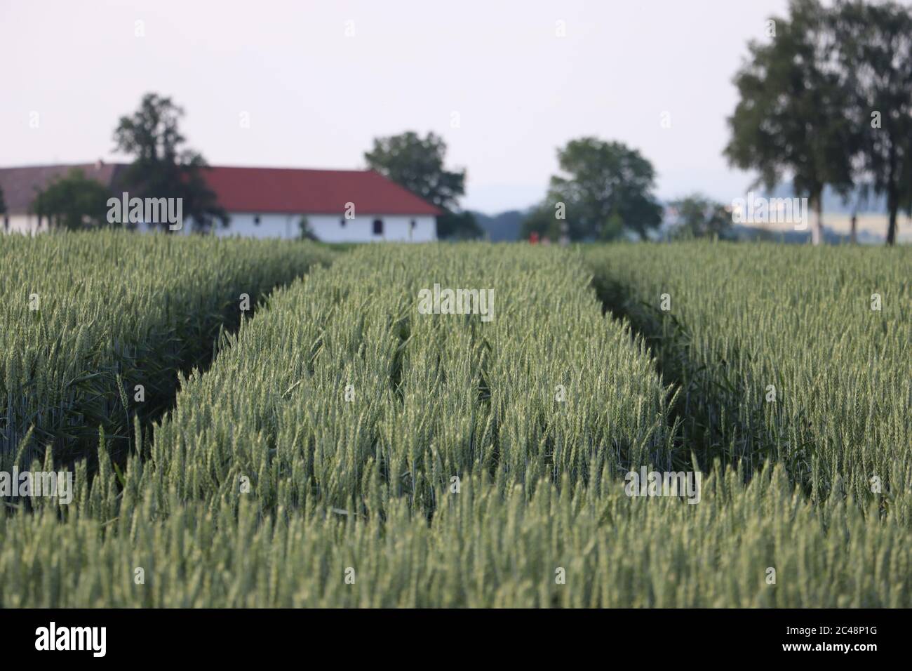 Austrian farm hi-res stock photography and images - Alamy