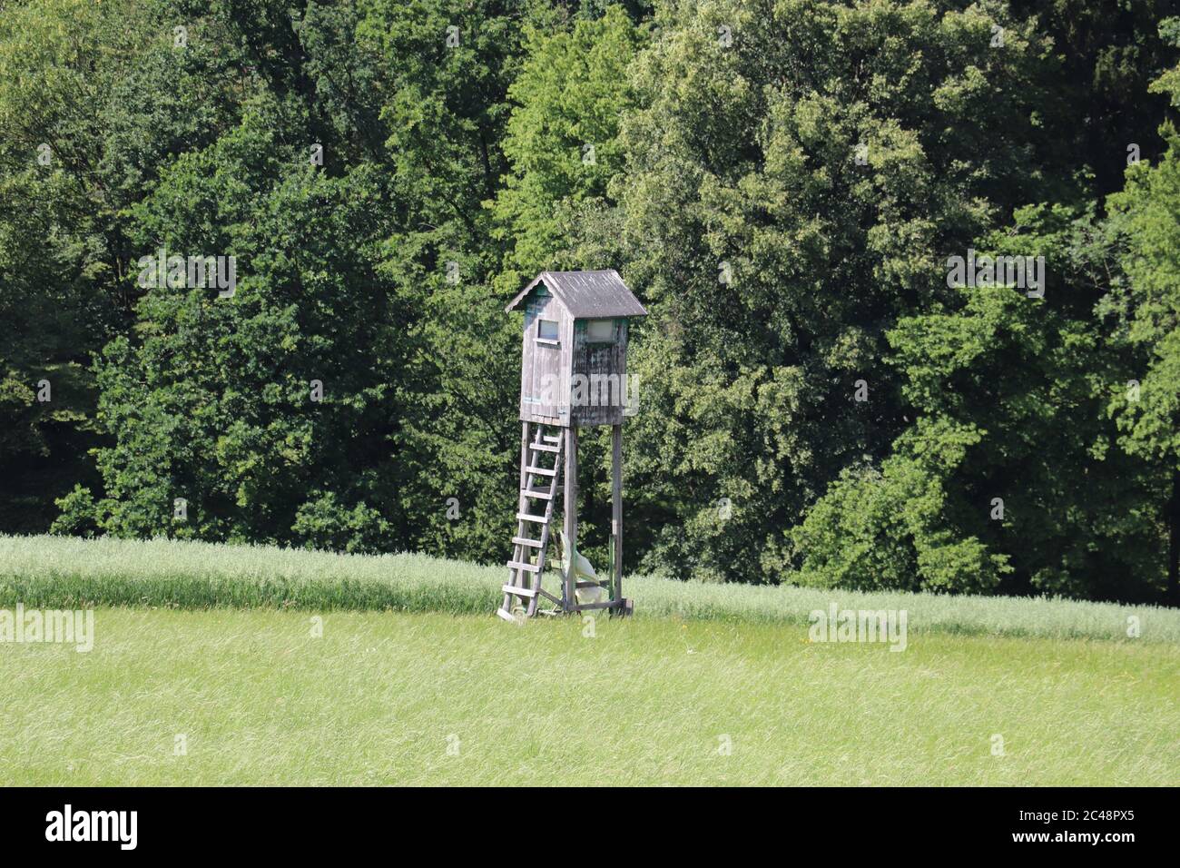 Hunter in deer stand hi-res stock photography and images - Alamy
