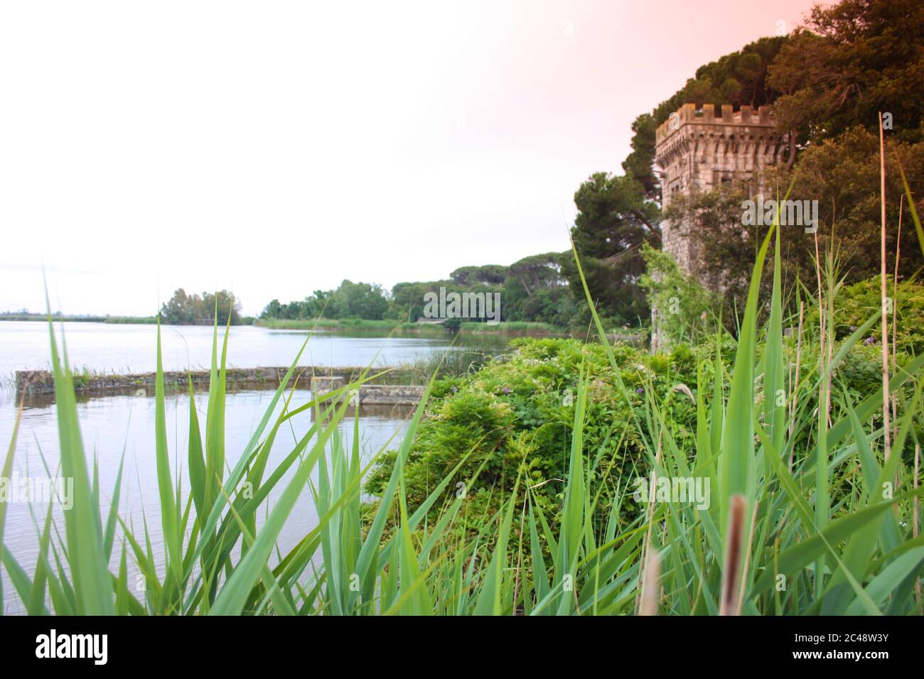 The turret of Villa Orlando on the Lake Massaciuccoli with water e ...