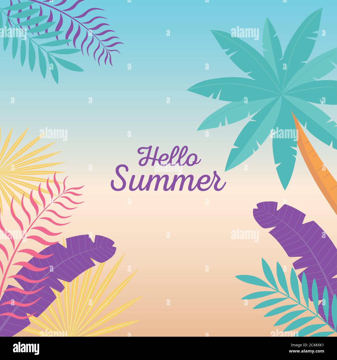 hello summer, tropical tree palm leaves foliage gradient background ...