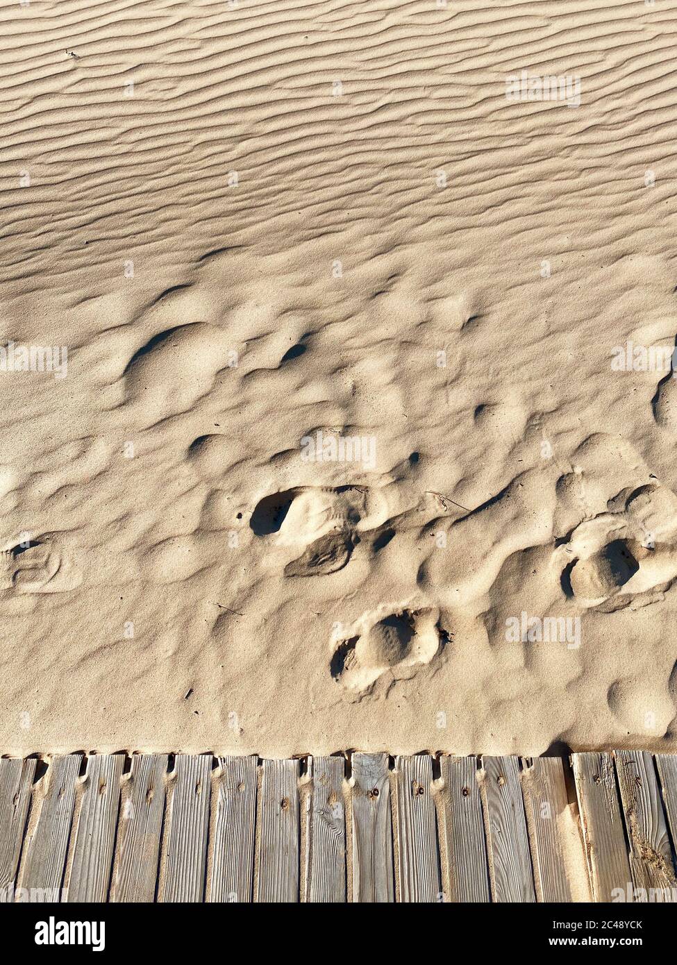 sand texture and wood path in the beach Stock Photo - Alamy