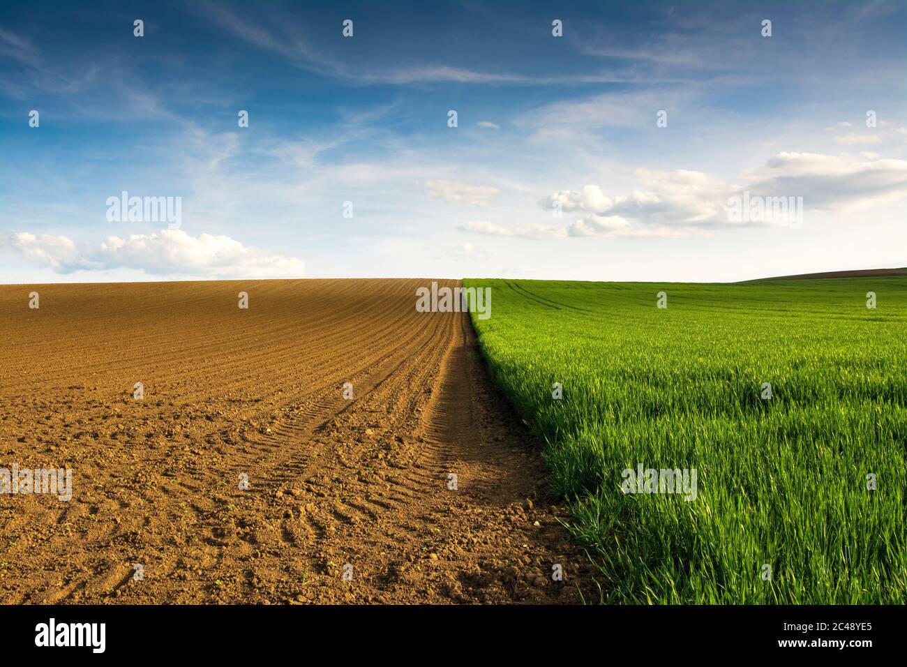 Crop crops cropping hi-res stock photography and images - Alamy