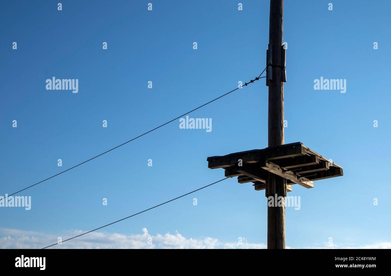 empty wooden pole and wires in an outdoor activity park Stock Photo - Alamy