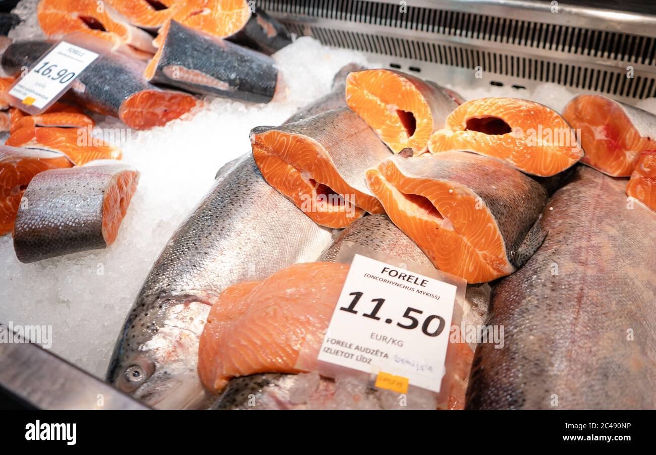 RIGA, LATVIA - JUNE 27, 2019: Fish in the central market. The market ...
