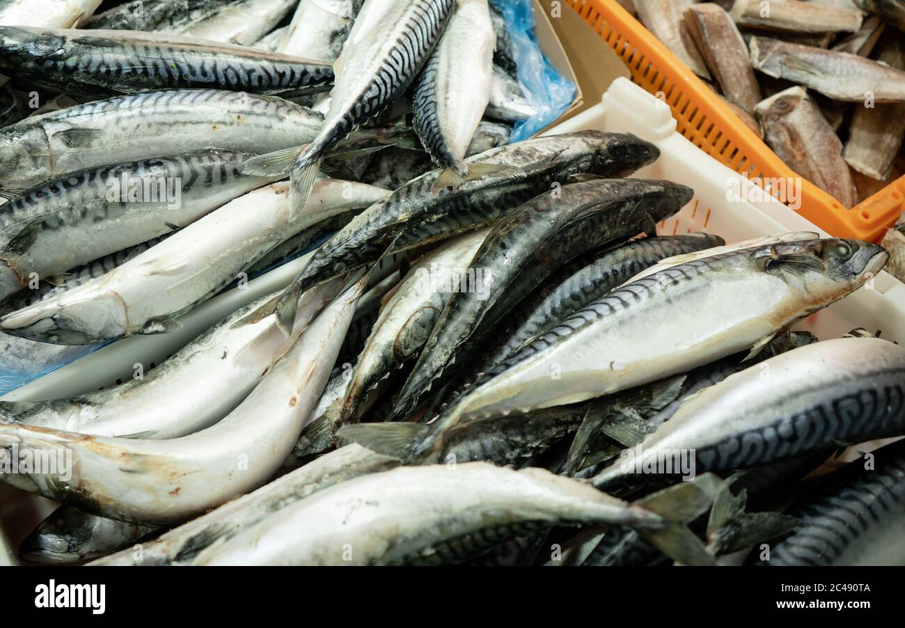 Former sea fish market hi-res stock photography and images - Alamy