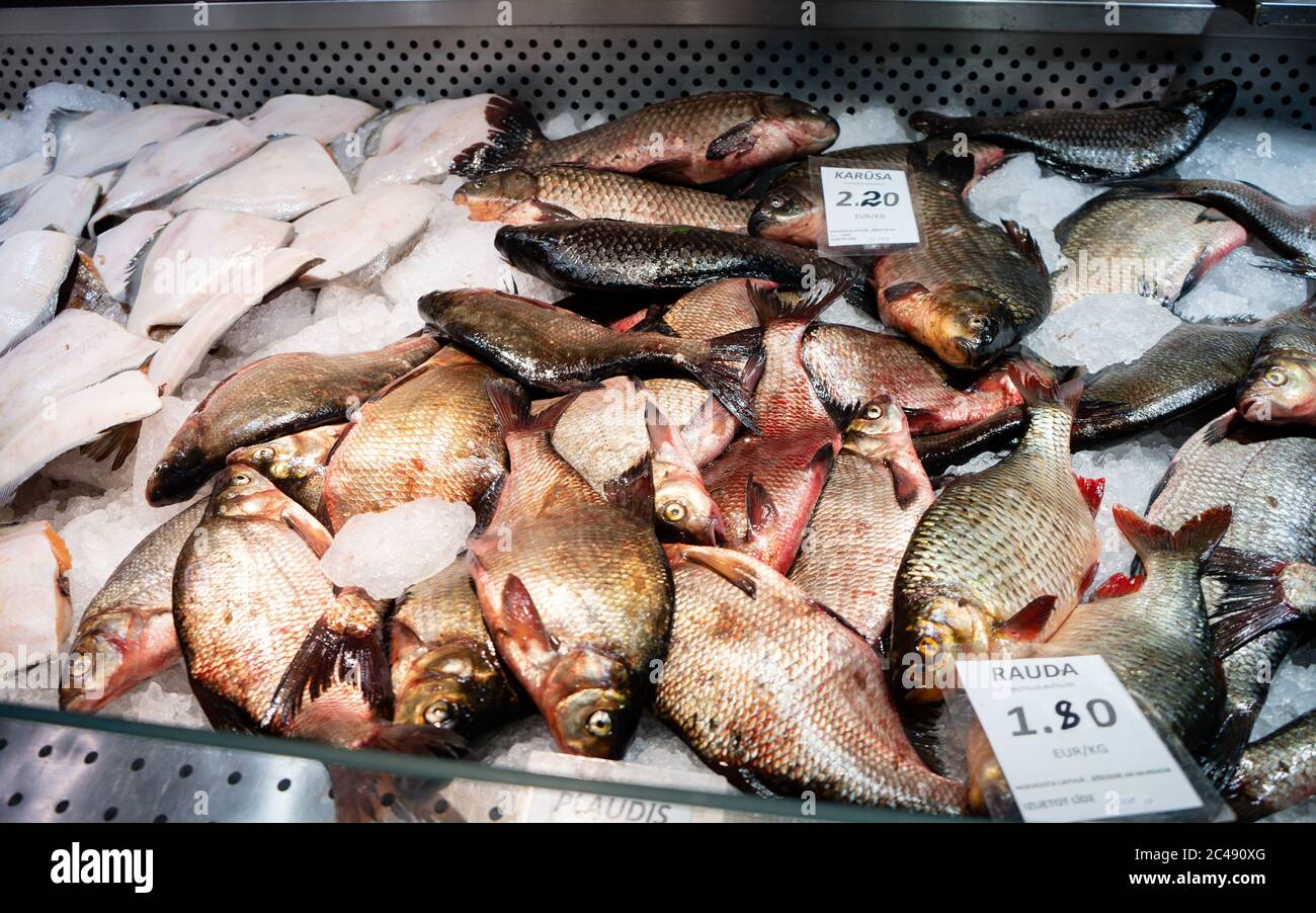 RIGA, LATVIA - JUNE 27, 2019: Fish in the central market. The market ...