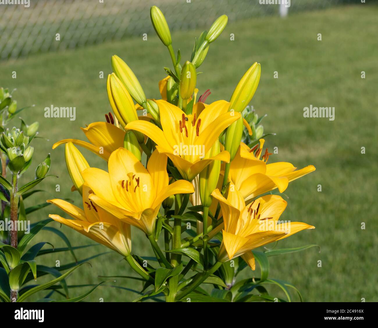 Closeup wide angle view hi-res stock photography and images - Alamy