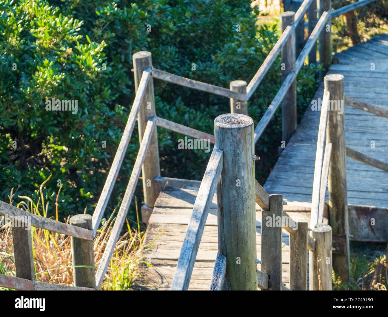 A pathway to the beach Stock Photo - Alamy