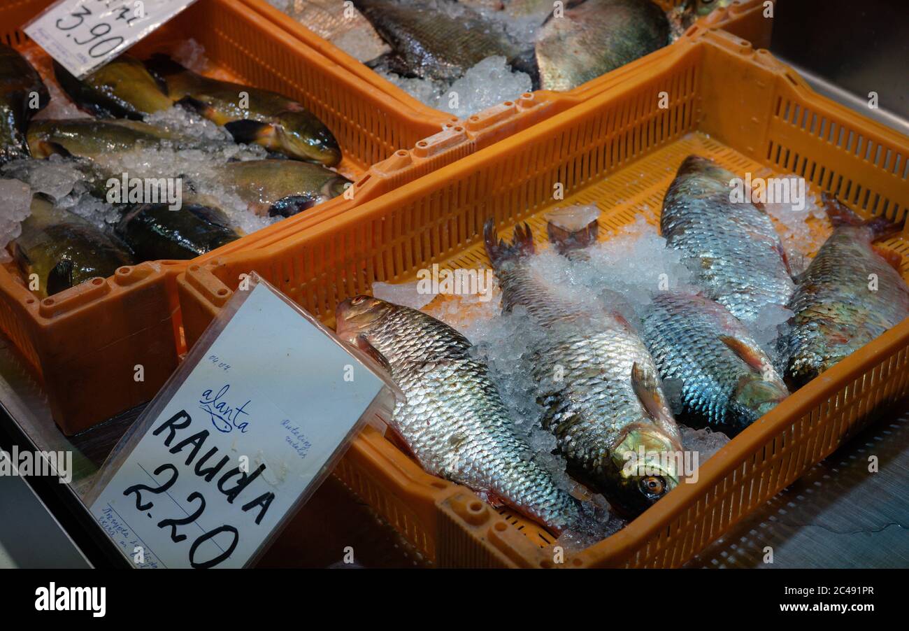 RIGA, LATVIA - JUNE 27, 2019: Fish in the central market. The market ...