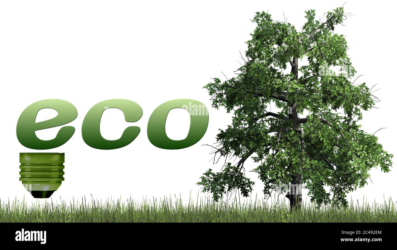 Lettering - eco - text and tree in front on a white background ...