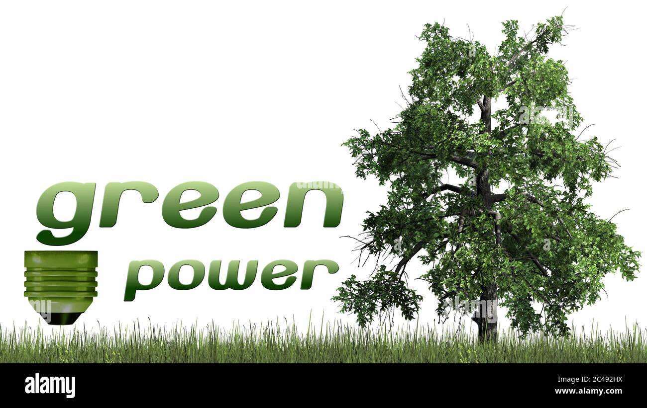 Lettering - green power - text and tree in front on a white background ...