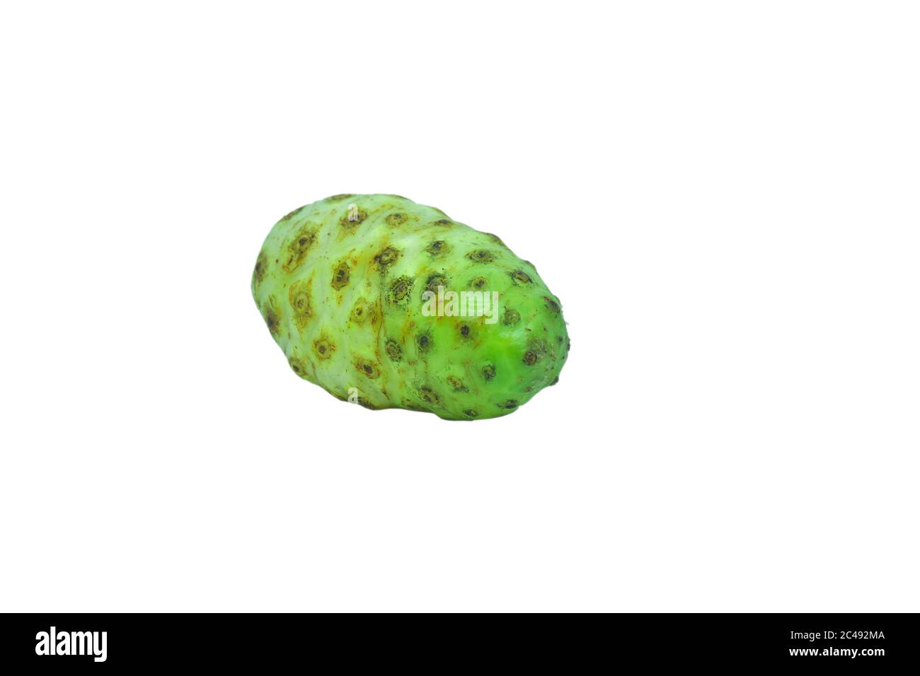 Noni isolated on white with clipping path Stock Photo - Alamy