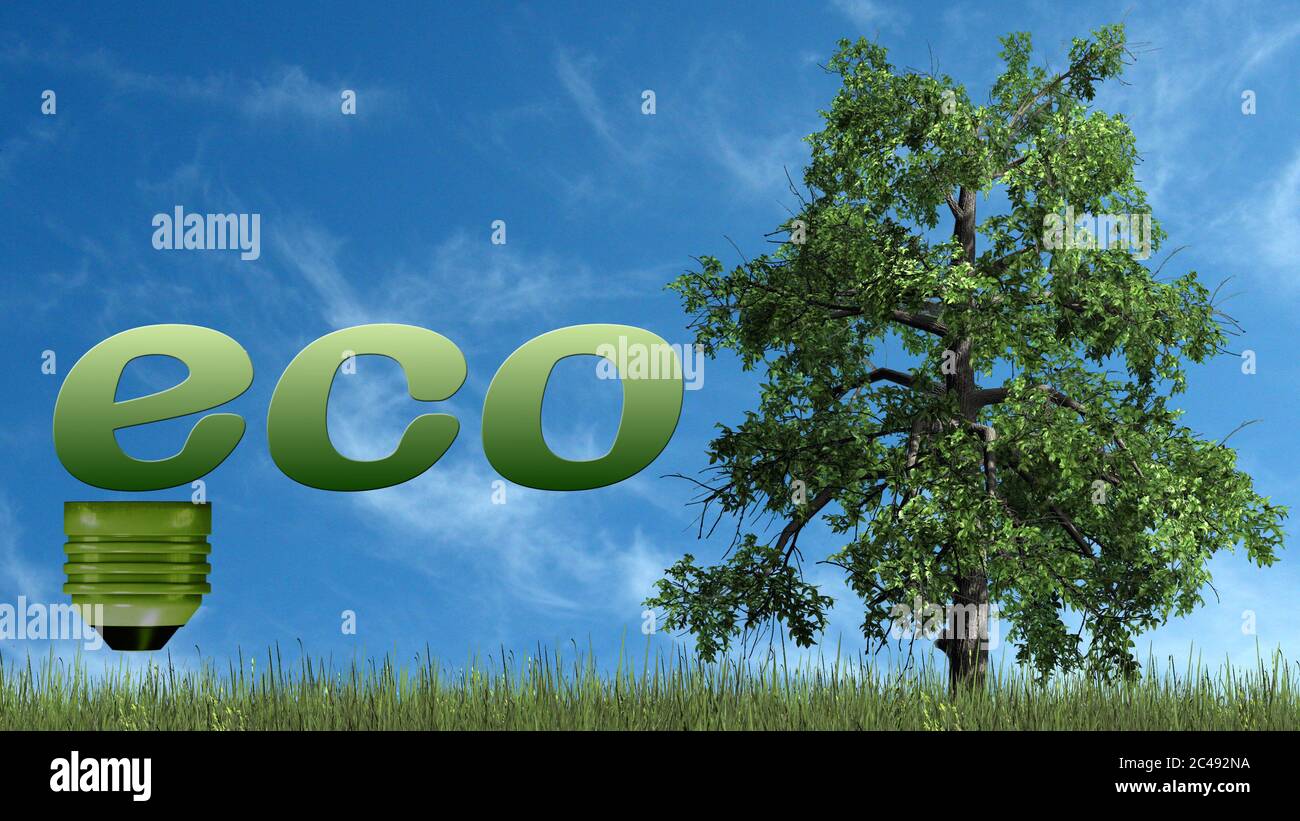 Eco text and tree in front on a blue sky - ecology concept Stock Photo ...
