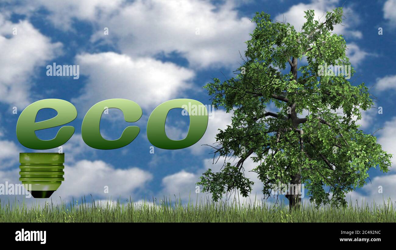 Eco text and tree in front on a blue sky - ecology concept Stock Photo ...