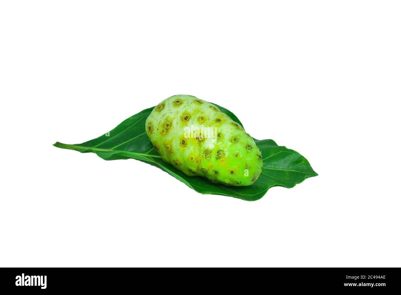 Noni isolated on white with clipping path Stock Photo - Alamy