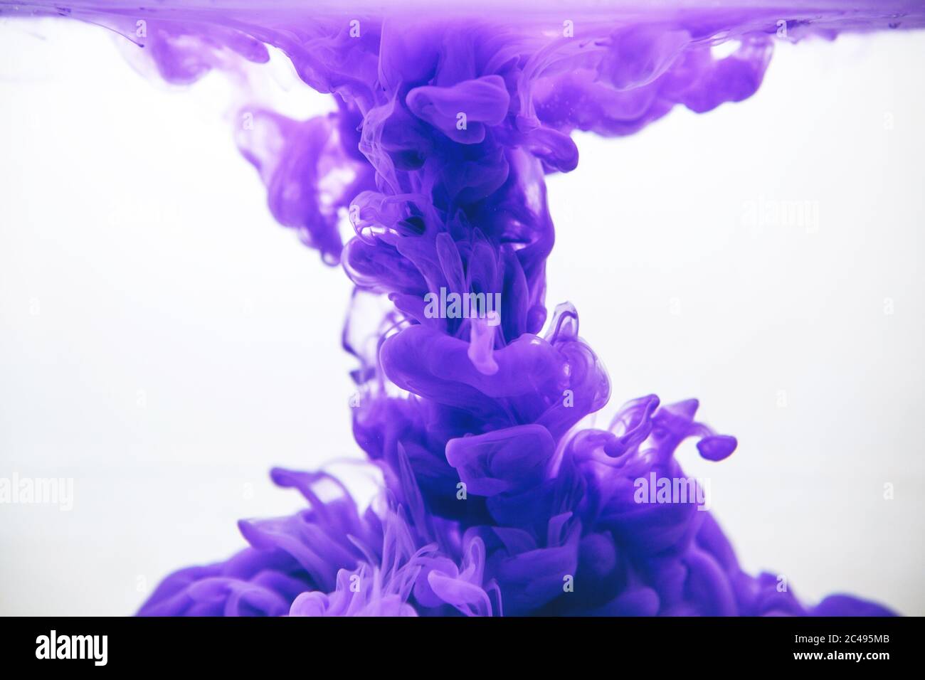 Purple color ink in water on a white background Stock Photo - Alamy