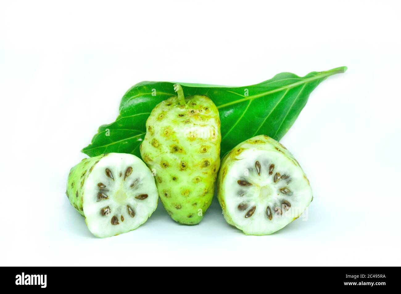 noni or Morinda Citrifolia and slice isolated on white background Stock ...