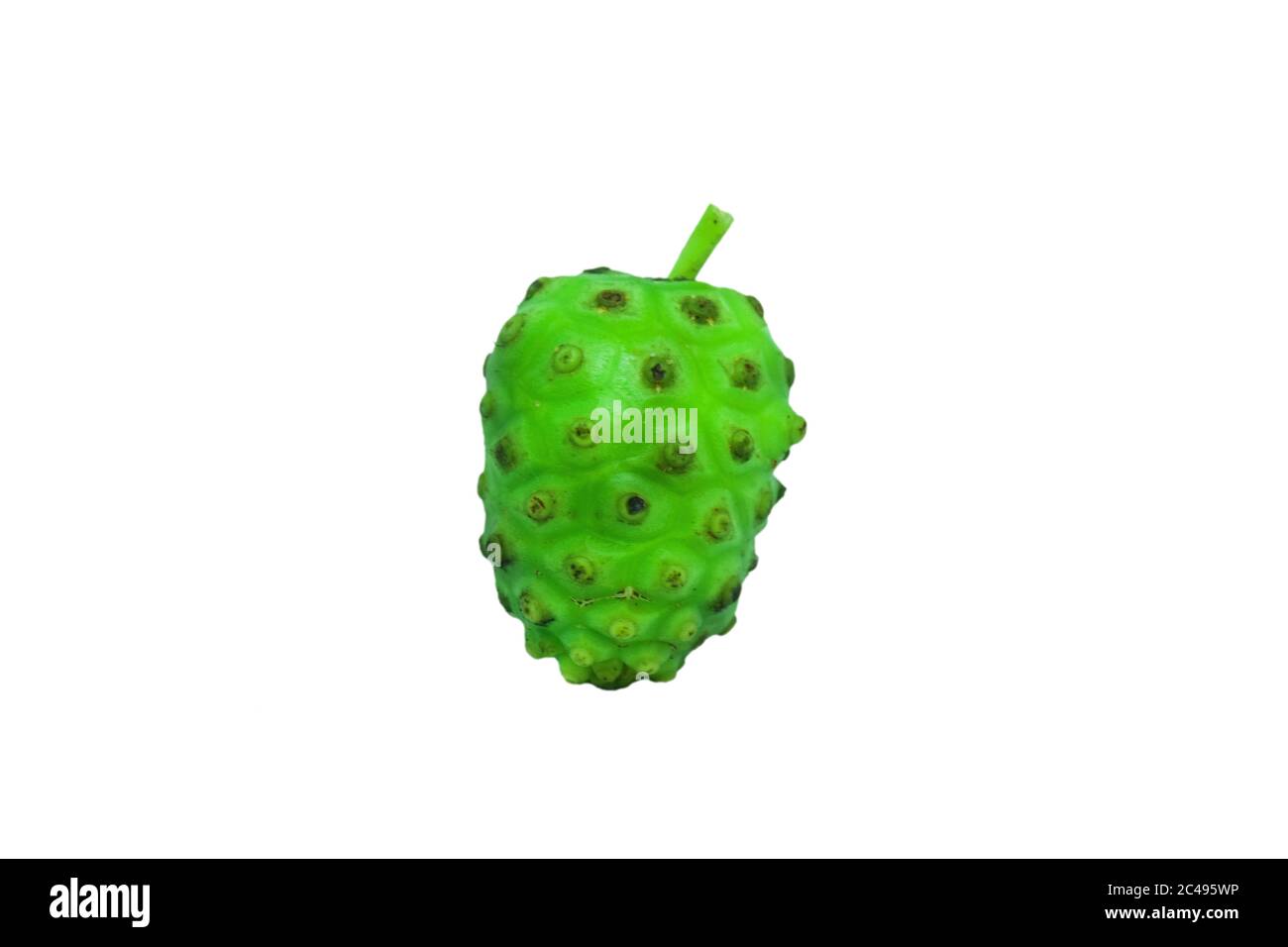 Noni fruit cut Cut Out Stock Images & Pictures - Alamy