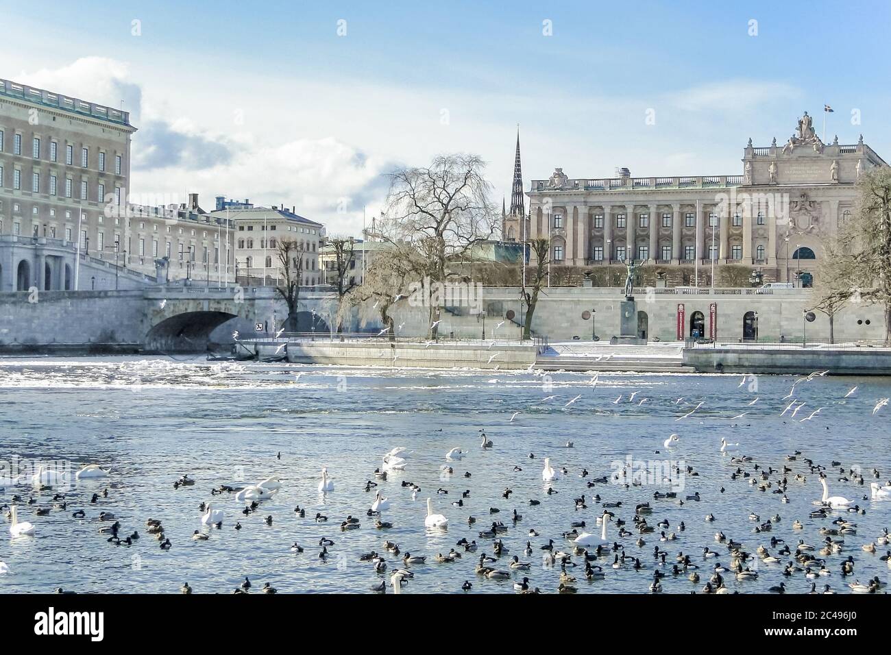 View of Swedish Parliament and center of Stockholm with lots of birds ...