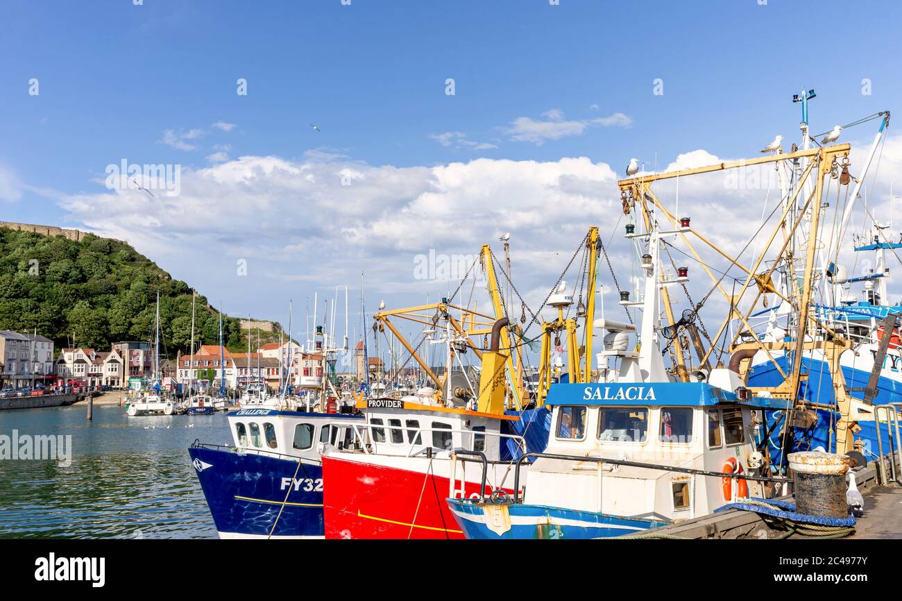 Fishing boats are moored together alongside a wharf. In the distance ...