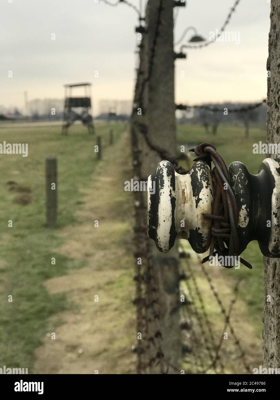 Vertical selective focus shot of barbed wire fence in Auschwitz, Poland ...