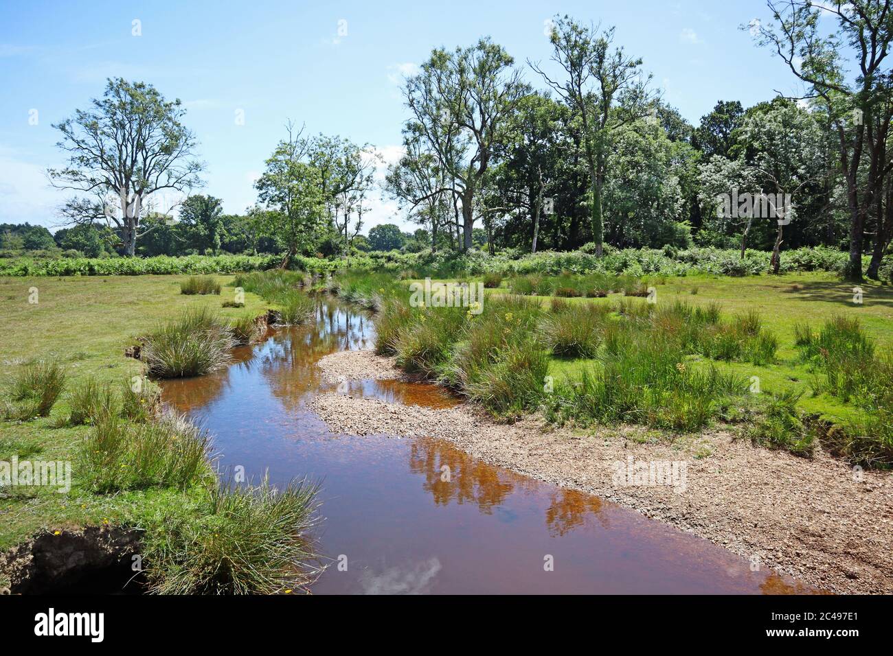 Flechs hi-res stock photography and images - Alamy