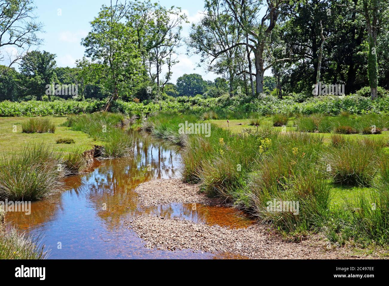 Beautiful stream in Hampshire Stock Photo - Alamy