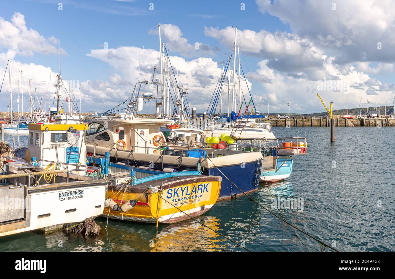 Fishing boats are moored together alongside a wharf. In the distance ...