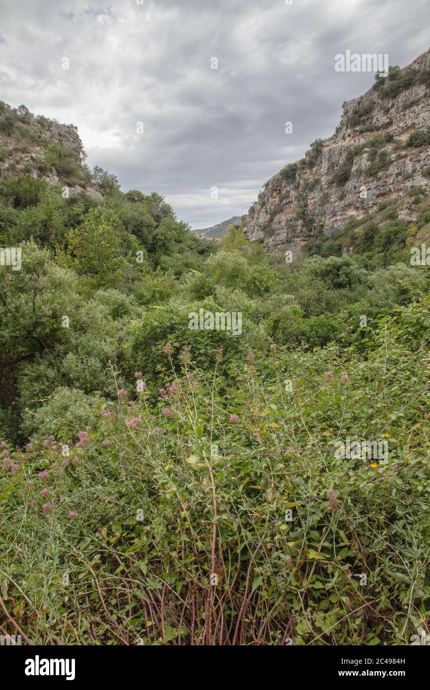 Anapo River gorge, Hyblean Plateau, Sicily, Italy Stock Photo - Alamy