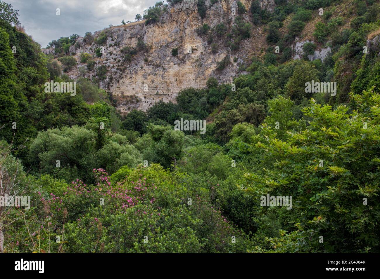 Anapo River Gorge, Hyblean Plateau, Sicily, Italy Stock Photo - Alamy