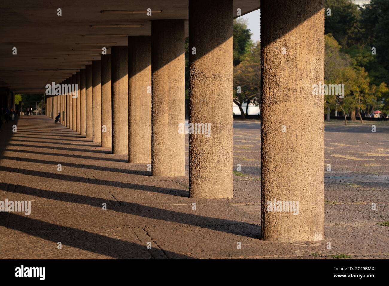 Shot of the huge concrete pillars supporting the building Stock Photo ...