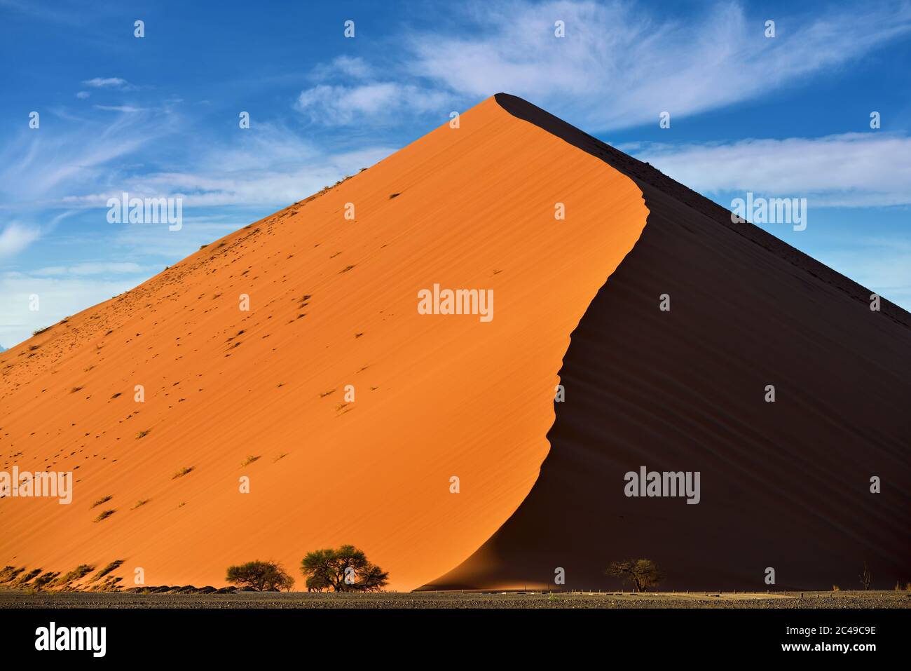 Beautiful landscape with dune 40 and trees at sunrise, Sossusvlei ...