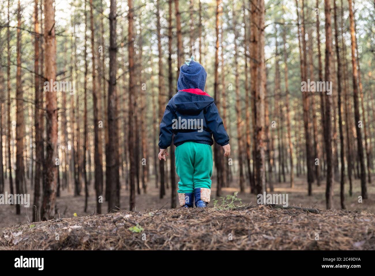 Introvert boy hi-res stock photography and images - Alamy