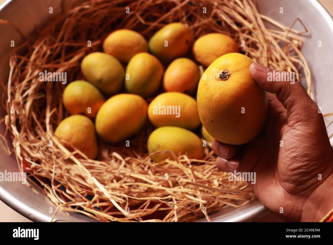 Hand holding mango hi-res stock photography and images - Alamy