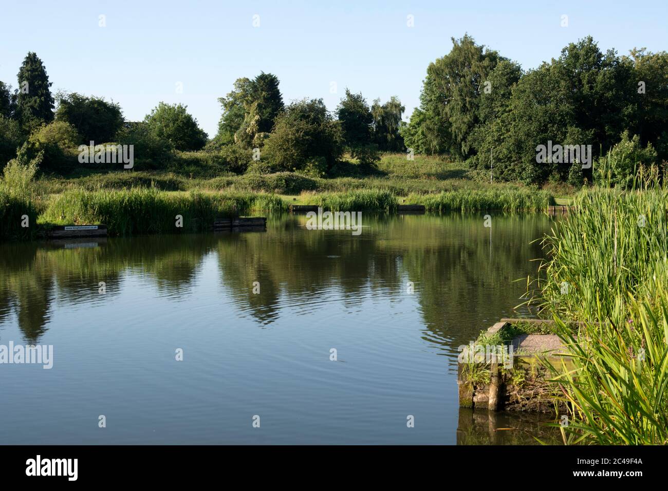 Kingfisher Pool in summer, Warwick, Warwickshire, England, UK Stock ...