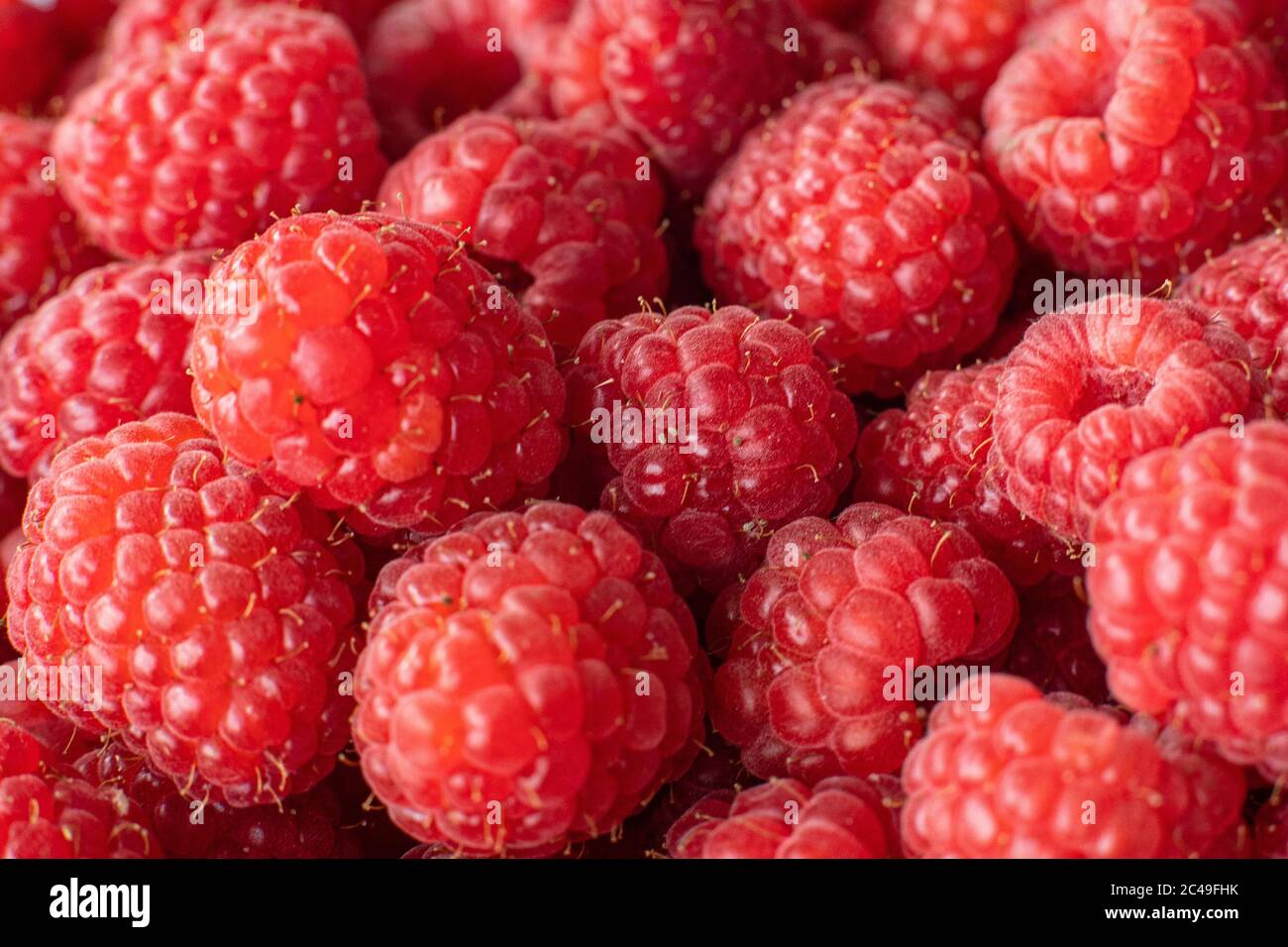 raspberry background, top view raspberry background, top view fresh ...